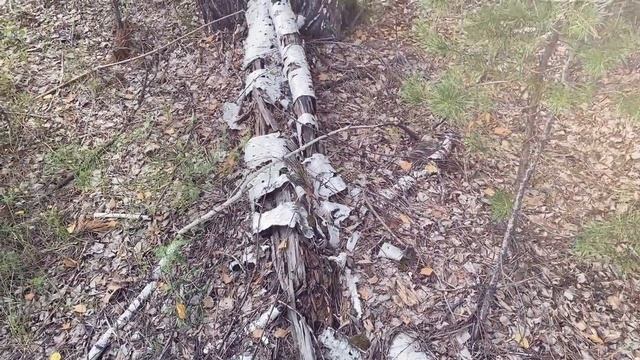 Словно в детстве. Музыка для души @anna_i_zueva