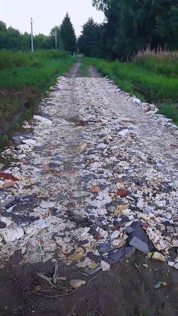 Загадка года