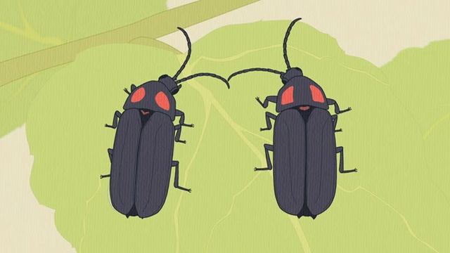 Сериал Невероятные факты эволюции — 18 серия / Zannen na Ikimono