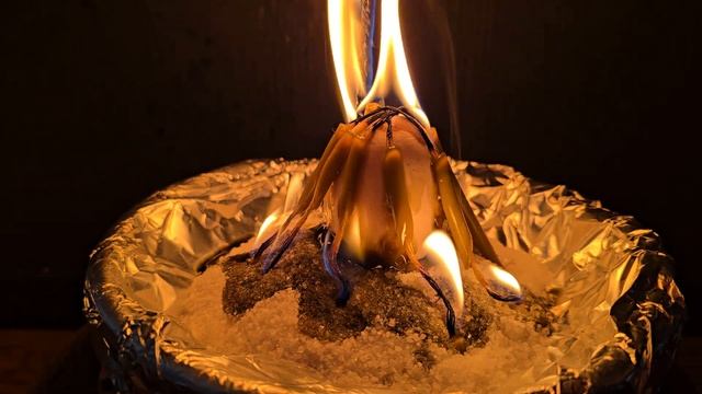 ТОЛЬКО 6 СЕНТЯБРЯ - Притягиваем деньги в жизнь 🪐 Открываем путь деньгам к вам 🍀 До Полнолуния