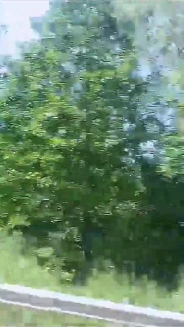 Озеро Круглое #добрыйавтобус #shorts_video