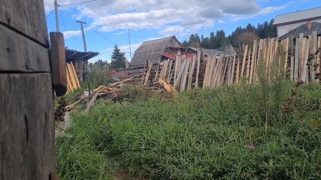 Про намаз, русских патриотов и Израиль.