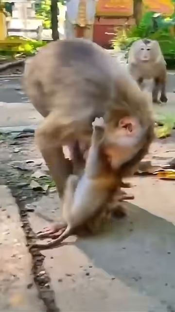 Да он просто играет.