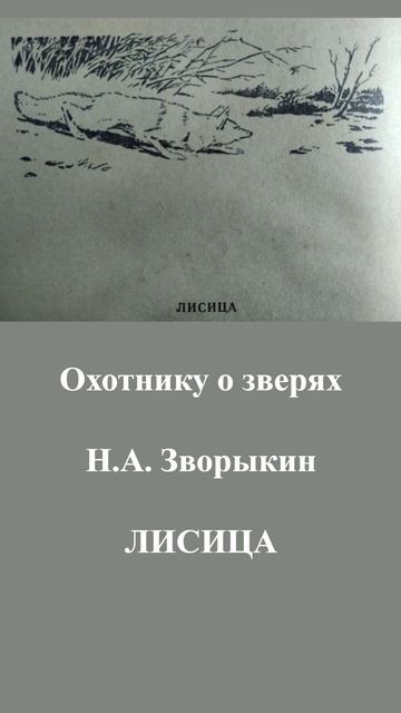 Лисица. Охотнику о зверях. Н.А. Зворыкин