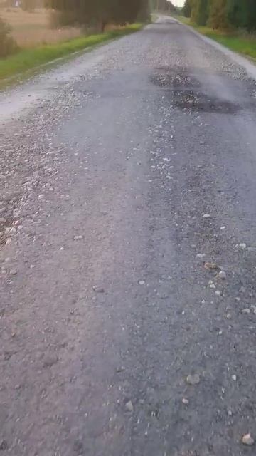 Лучшая дорога, чтоб лишиться шин