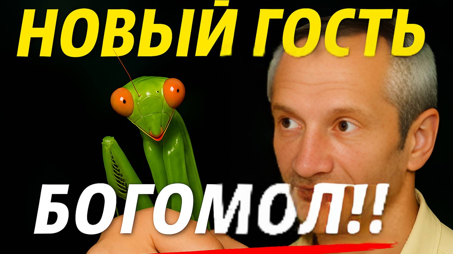 Новый гость — богомол!! позирует на камеру!