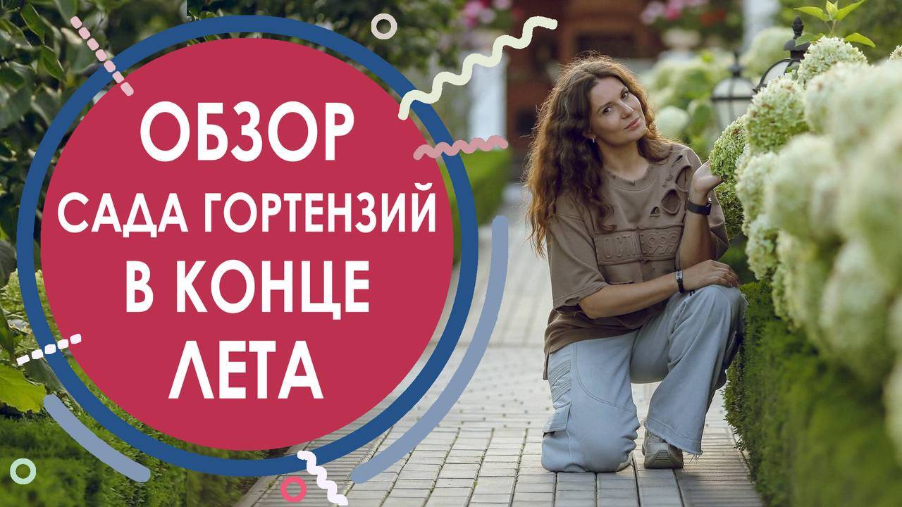 Обзор сада гортензий в конце лета