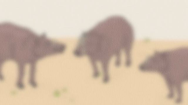 Сериал Невероятные факты эволюции — 4 серия / Zannen na Ikimono