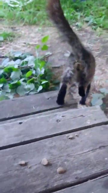 Первый парень на деревне