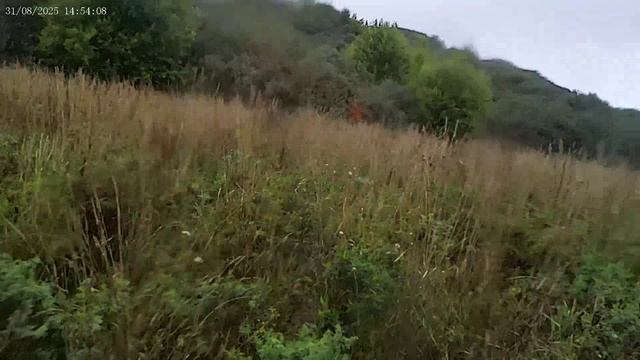 Облепиховая гора и поле.Серия-2