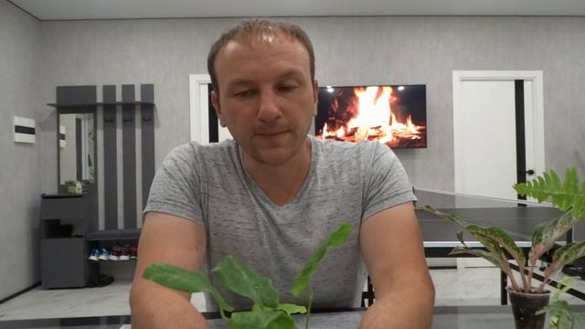 Обзор новых растений в моей коллекции