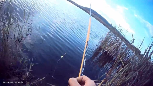 Ловля карася на поплавок на Старице🎣 Насадка тесто. Клев хороший👍