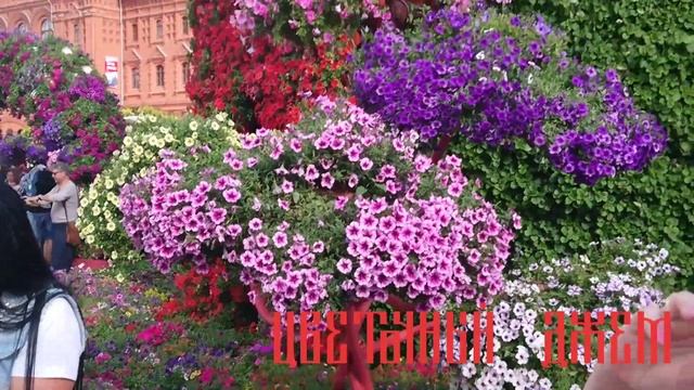 Если вы не видели "Цветочный джем"