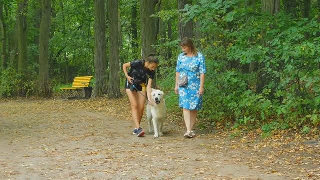 Первый день осени