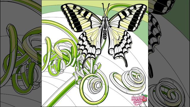 Бабочки 511-520