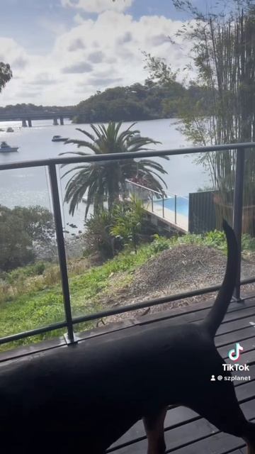 Маленькие вещи могут делать нас очень счастливыми! #счастье #красота #вотоносчастье #hapiness #be