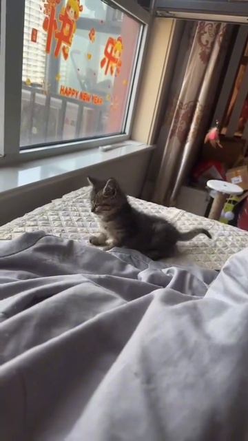 Пробуждение и засыпание