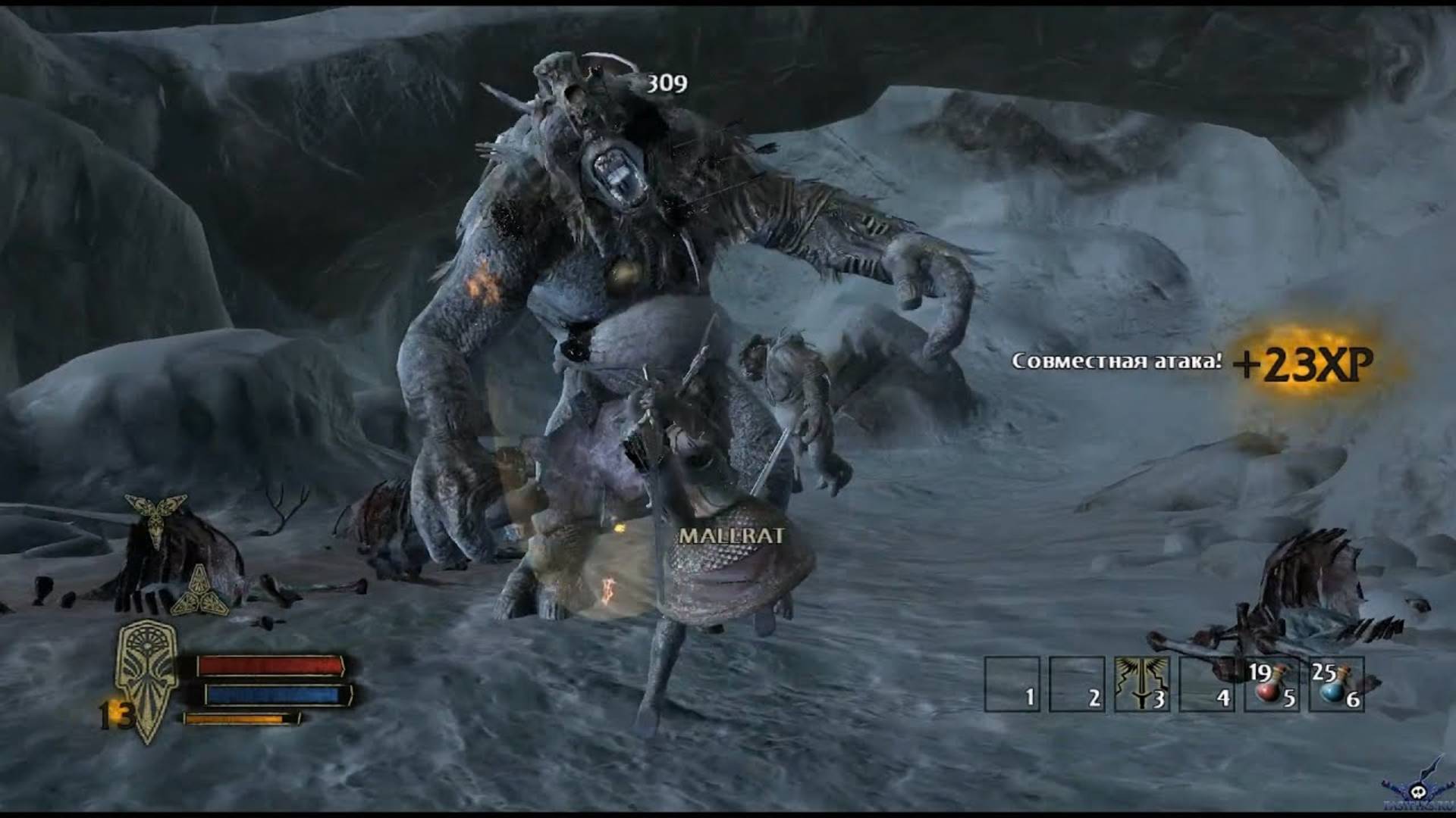 [PC] [8] Lord of the Rings: War in the North Co-oP