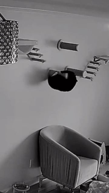 Остросюжетный триллер