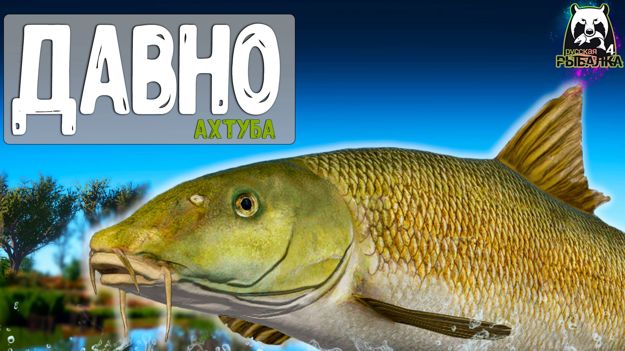 Давно уже такой рыбалки не было и вот что происходит #рр4