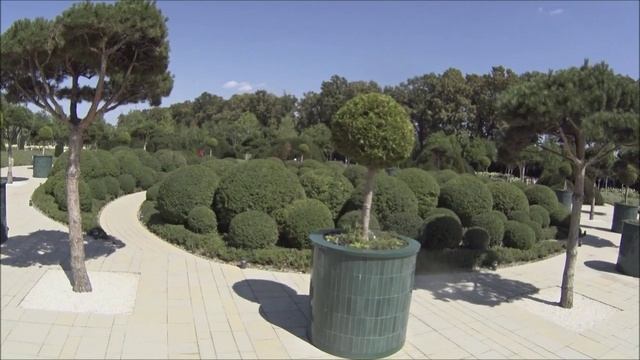 Парк Галицкого