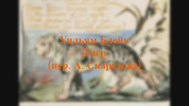 Уильям Блейк - Тигр (пер. А. Скаредова)