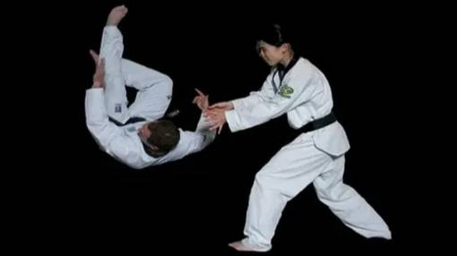 Стив Секстон ХАПКИДО: САМООБОРОНА НА ПРЕДЕЛЕ 2