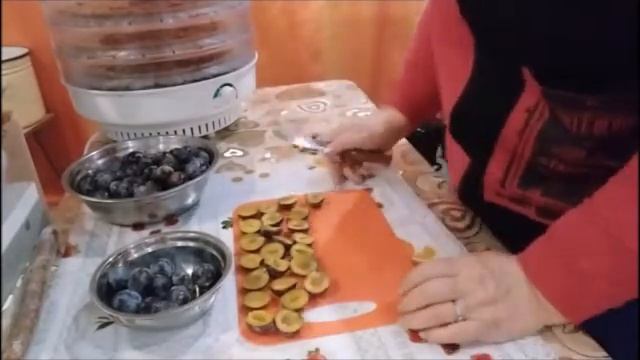 Два способа ЗАМОРОЗКИ СЛИВЫ НА ЗИМУ! МОИ ХИТРОСТИ!