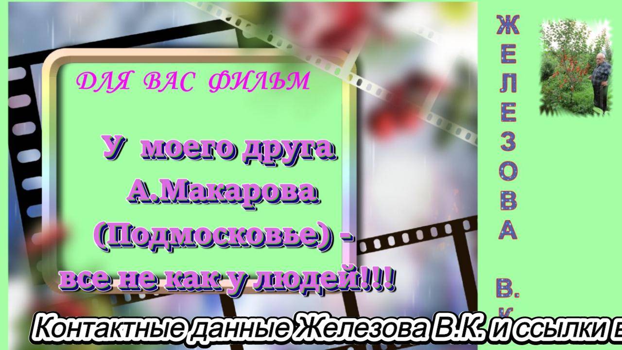 У  моего друга  А.Макарова (Подмосковье) - все не как у людей!!!