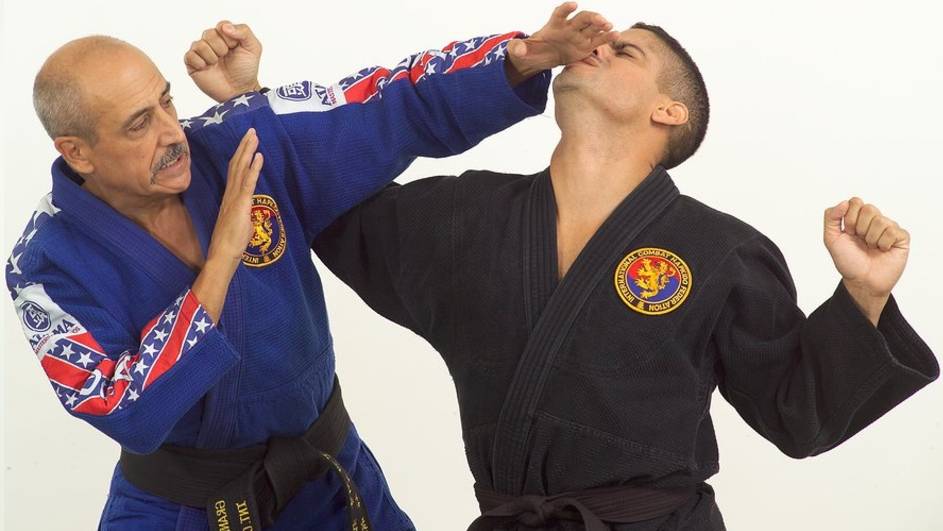 БОЕВОЕ ХАПКИДО 06— Коричневый пояс