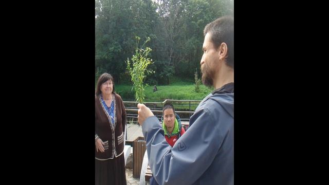 Гдов. Продолжение и местный колорит.