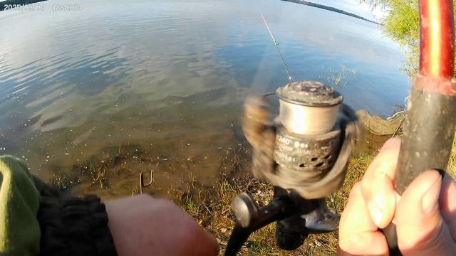 Обь. Рыбалка Огонь.