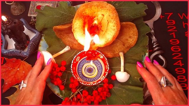 Кармическая чистка #онлайн #ритуал Светлана ВЕДА