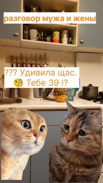Сериал #ДваКота  продолжается!
#рек #топ #котики #юмор #анекдот #смешныекоты #реки #втоп #житьжизнь