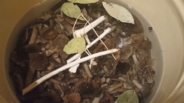 Мой способ соления Опят на зиму.