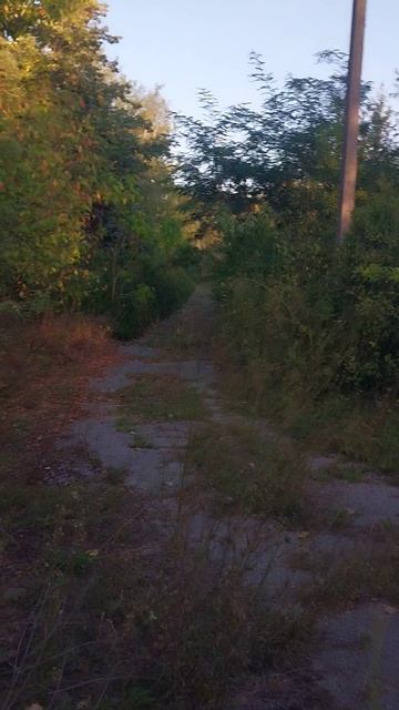 Главные ворота лагеря!