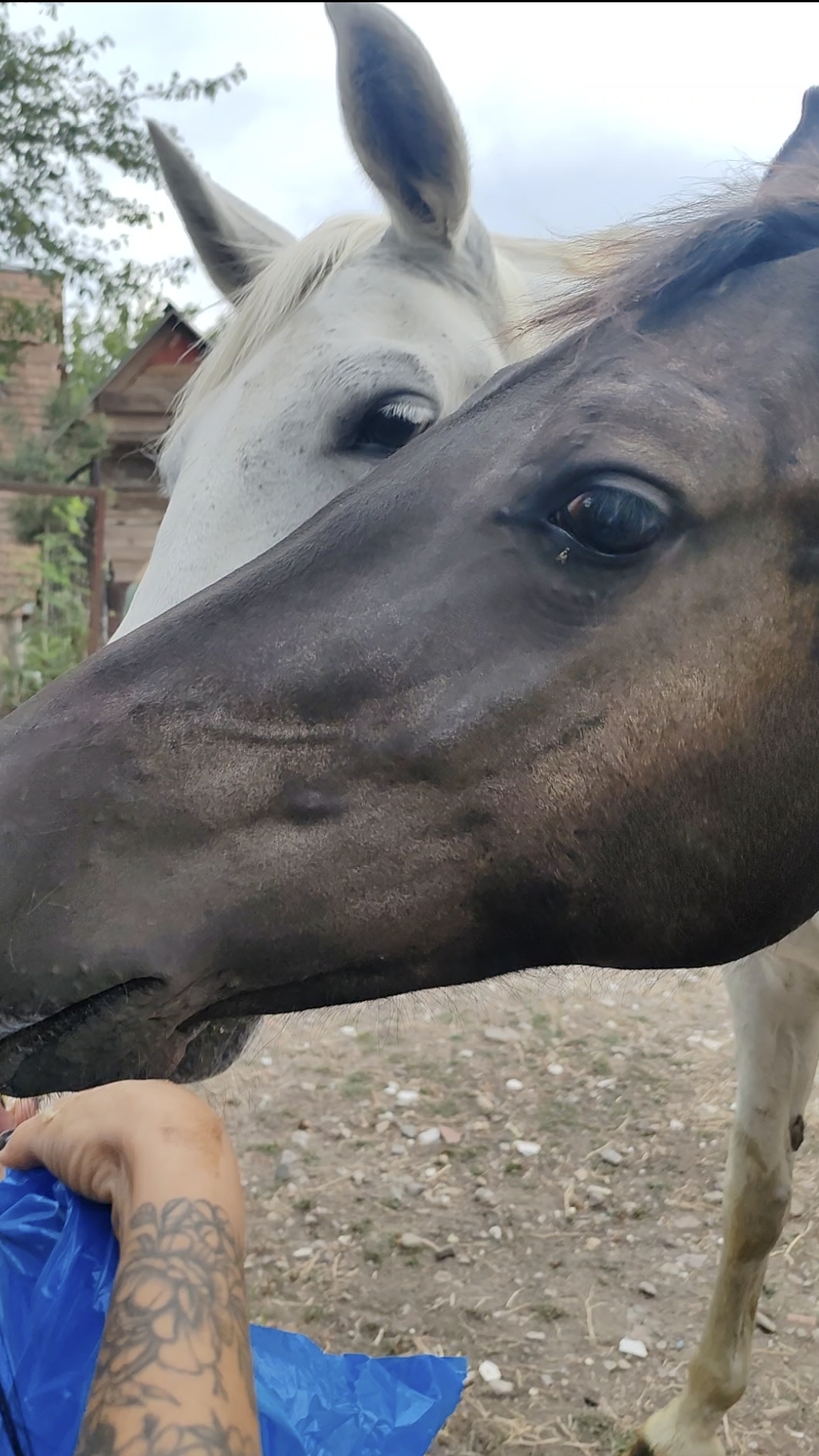 МАМИНЫ ЭМОЦИИ СДЕЛАЛИ ЭТО ВИДЕО 😆