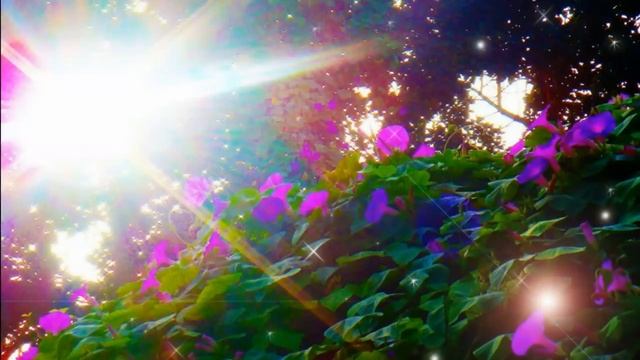 Music for Your Soul ( Carino- Chris Spheeris)