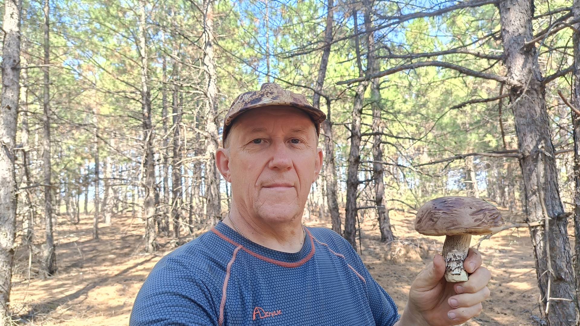 Грибная обстановка в лесах Ростовской области.