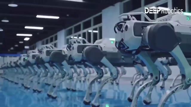 Китайская компания Deep Robotics находится в ПОЛНОЙ МОБИЛИЗАЦИИ