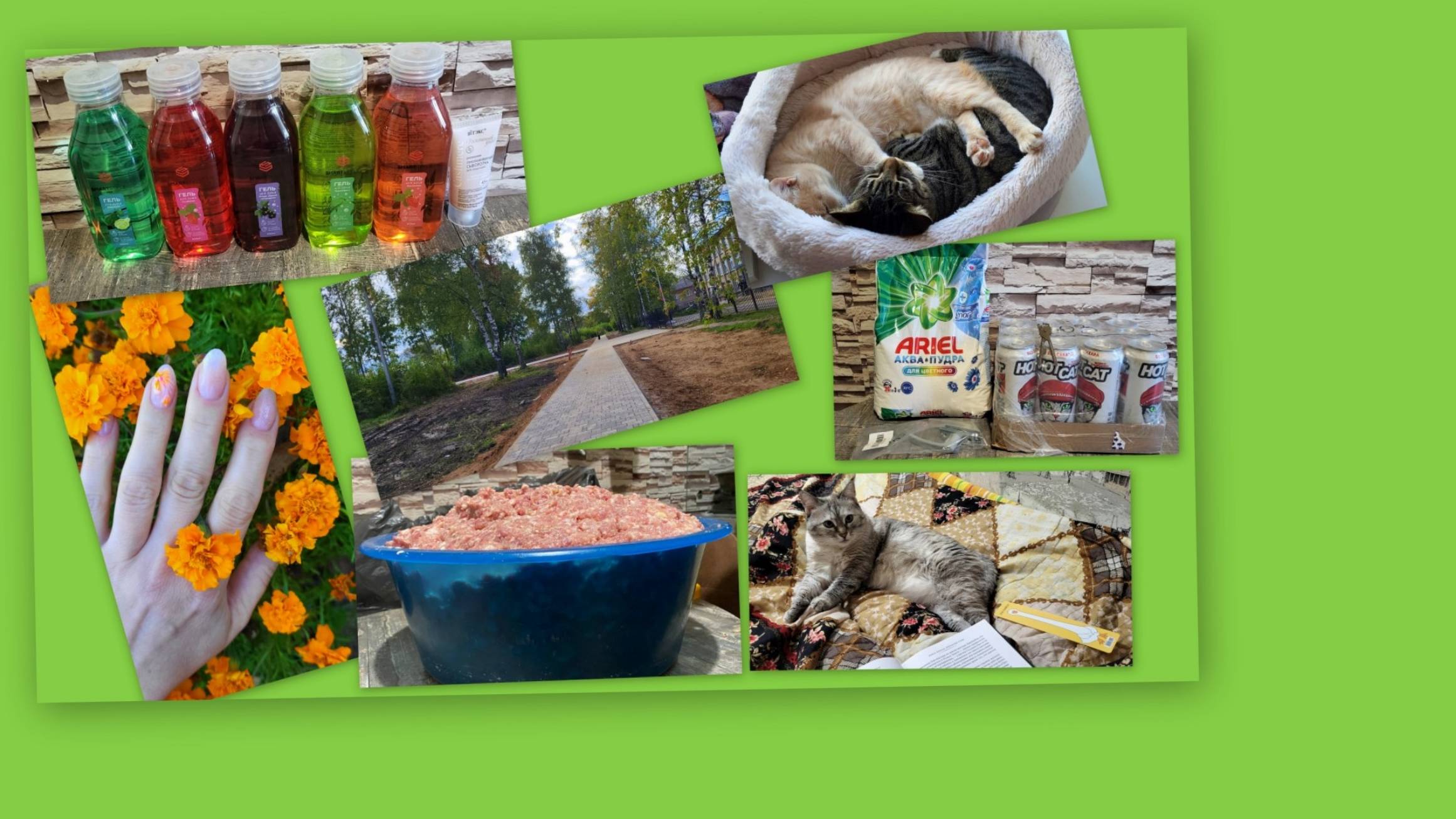 ВЛОГ: ПОДАРКИ ОТ ОЛИ, ПОКУПКИ И НАШ БЫТ...