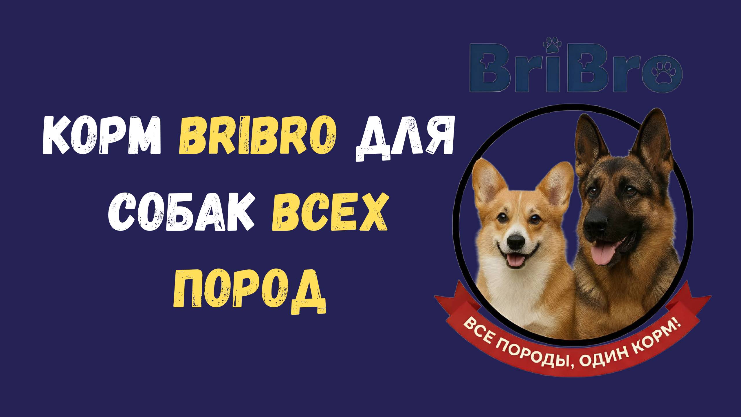 Корм BriBro для собак всех пород и возрастов