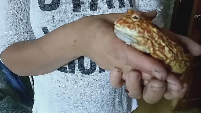 В гостях у Ирины Калининой