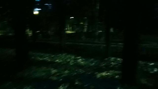 СУДЬБА - ЭТО МНОЖЕСТВО ВЫБОРОВ