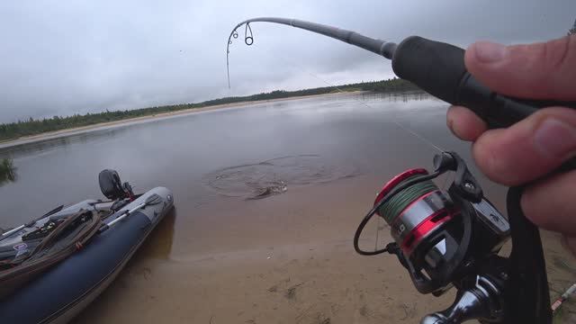 ПЯКУПУР! ВХОД В СТАРИЦУ КИШИТ РЫБОЙ!!! ЩУКА, ОКУНЬ, СОРОГА ДОЛБИТ НА КАЖДОМ ЗАБРОСЕ!!!