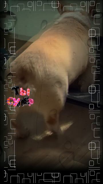 музыка утро гимнастика видео юмор