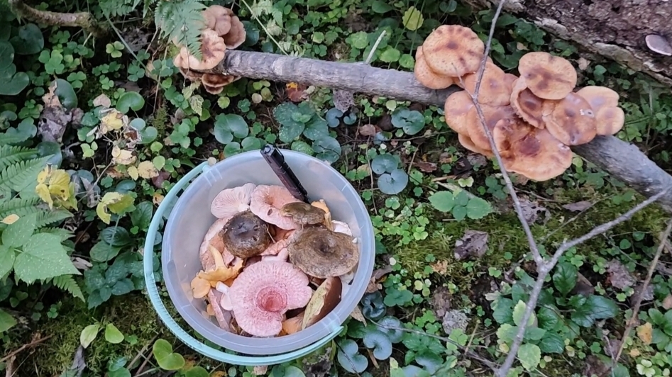 В двух шагах от Красного Озера.