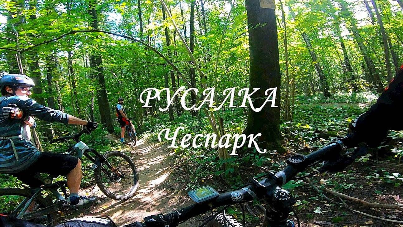 РУСАЛКА, с ВИА Плоскоземелье. Сентябрь 2025