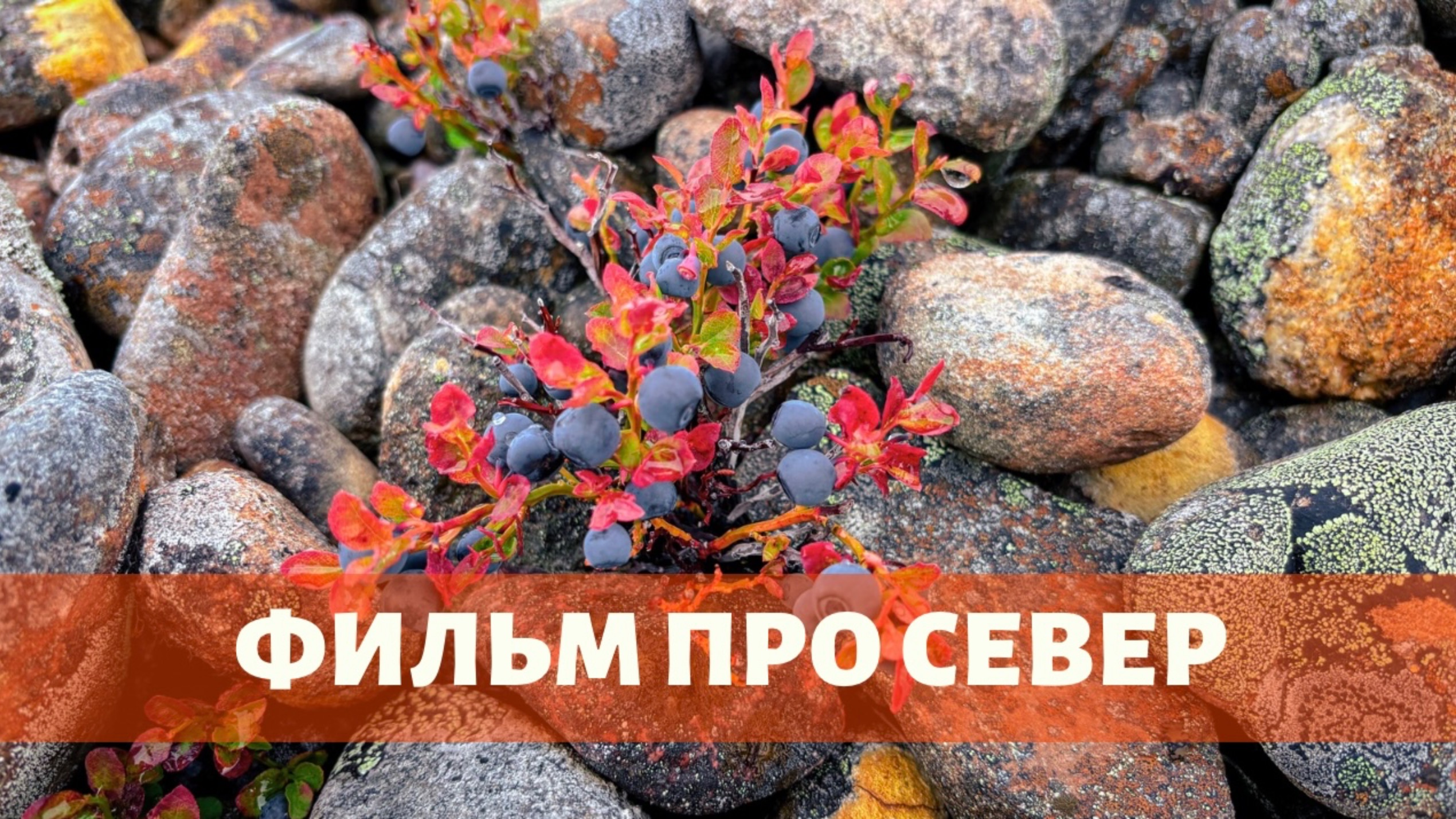 ЦАРСТВО СЕВЕРНОГО ОЛЕНЯ. Поход по полуострову Рыбачий (полная версия)