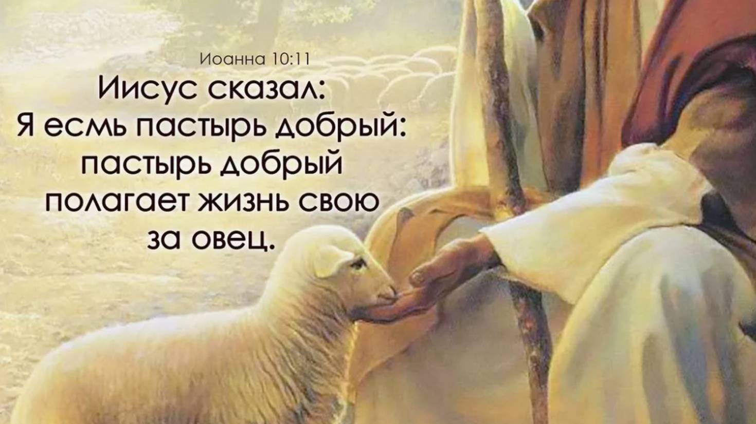 Христианский гимн "Как овечку, Пастырь сильный" #70